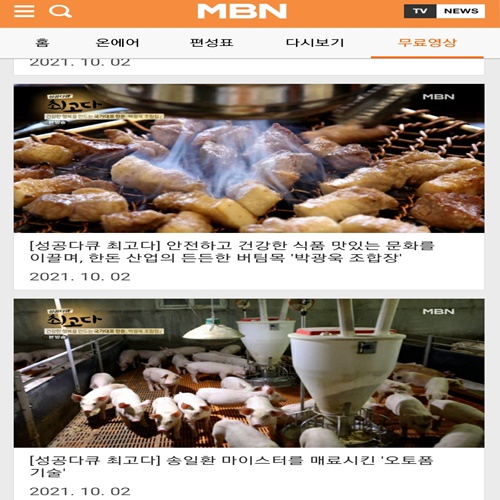 MBN 온에어 실시간 방송 보기 - greenbs